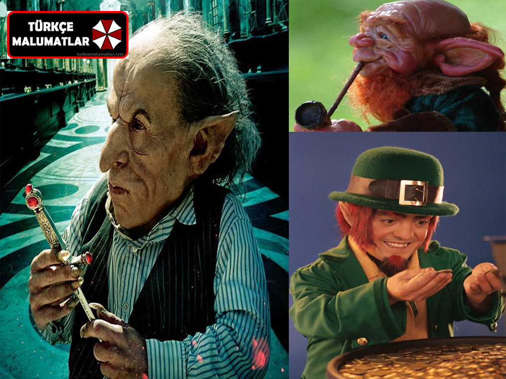 Cüce Cinler | Türkçe Malumatlar